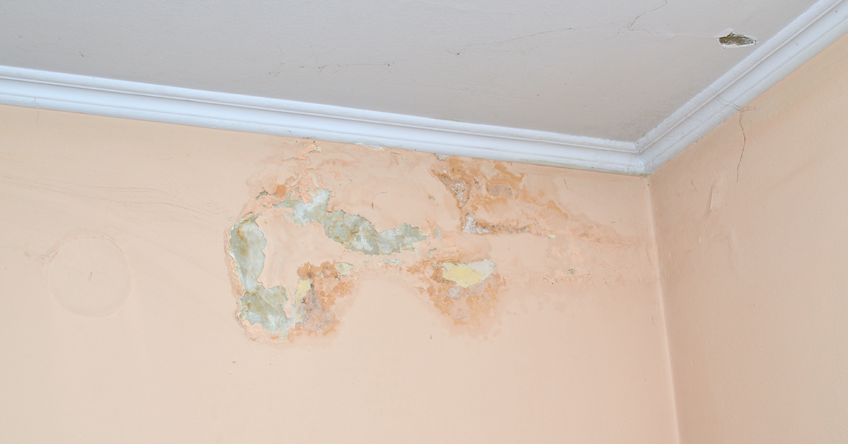 Prevent Wall Dampness - Effective Waterproofing Tips