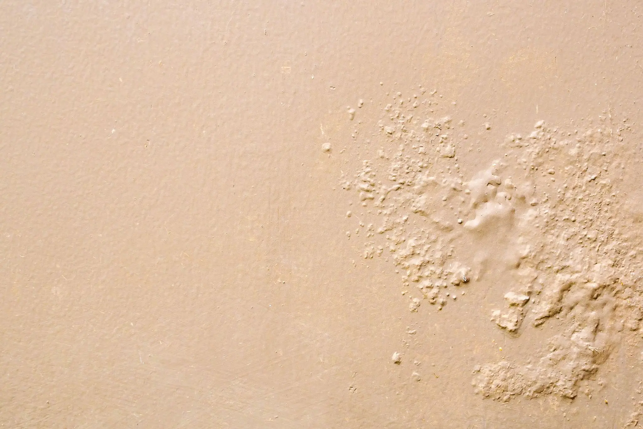 Unravelling the Different Types of Damp Issues on Walls