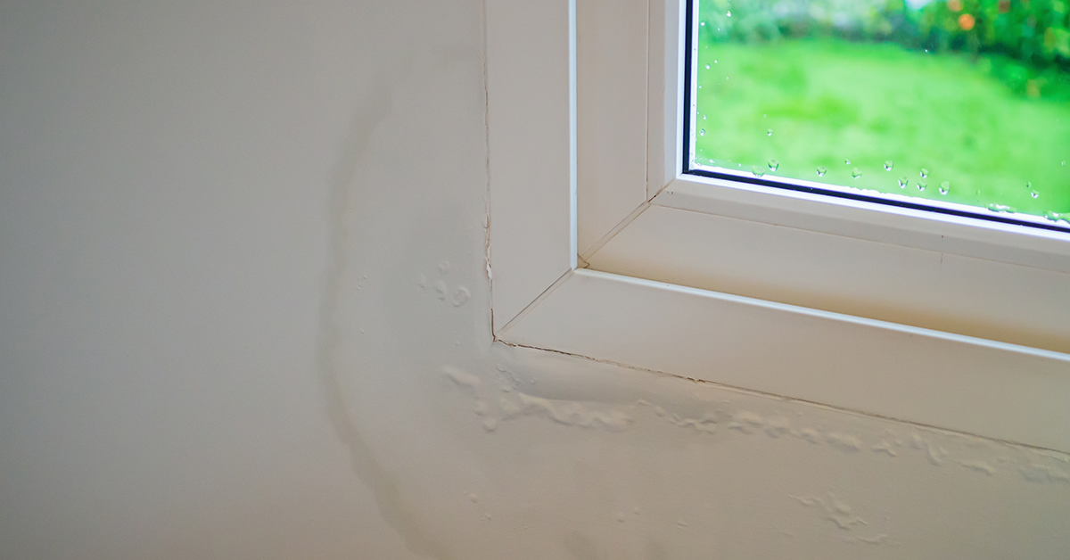 Wall Waterproofing Maintenance Checklist for Monsoon